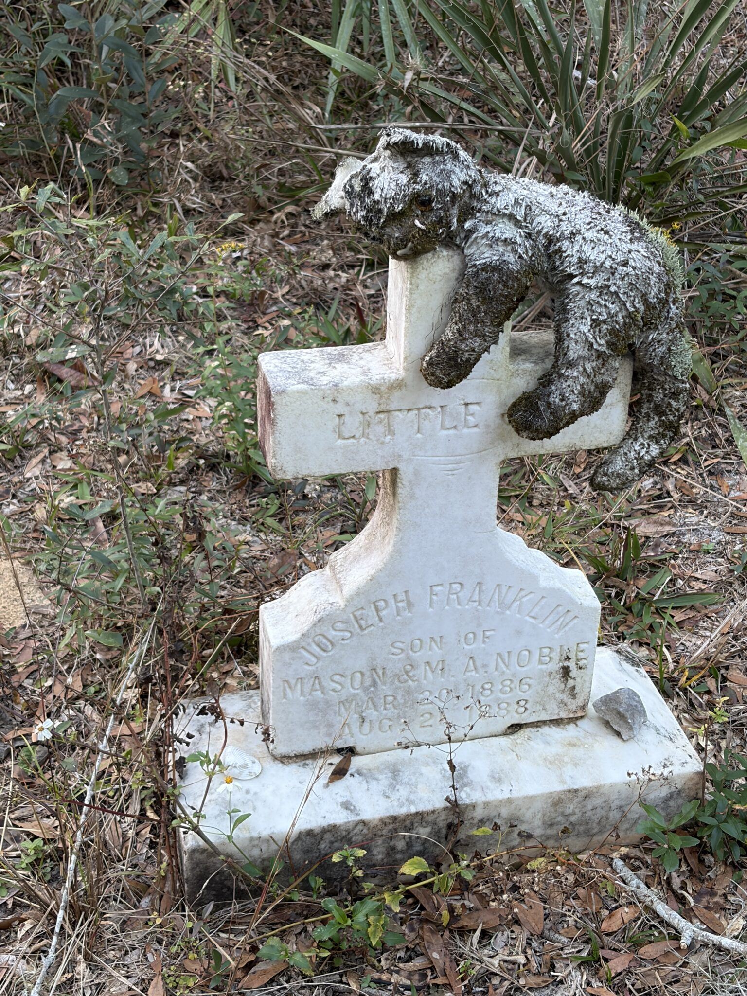 Giddens Homestead Cemetery: A Lost Florida Pioneer Community